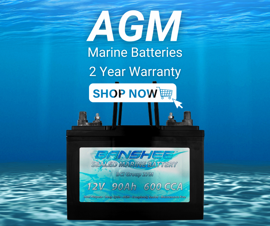 Banshee Batteries: AGM & LiFePO4 for Motorcycles, ATVs, UTVs & Boats ...
